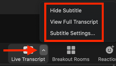Enabling Live Transcription in Zoom