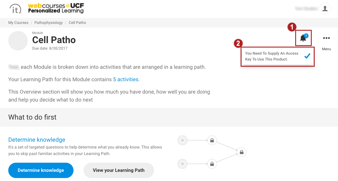 Redeeming a Realizeit Access Key