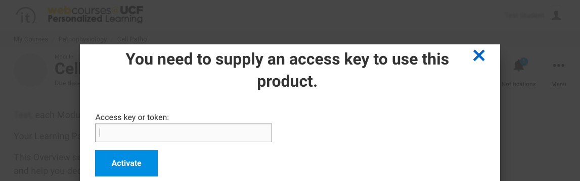 Redeeming a Realizeit Access Key